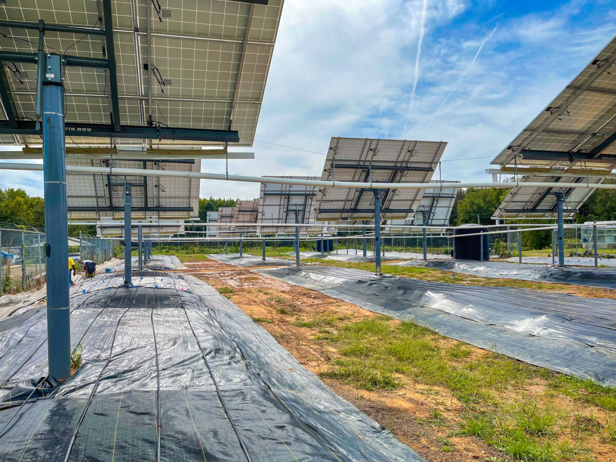 Solar Mount Photo Gallery - MT Solar