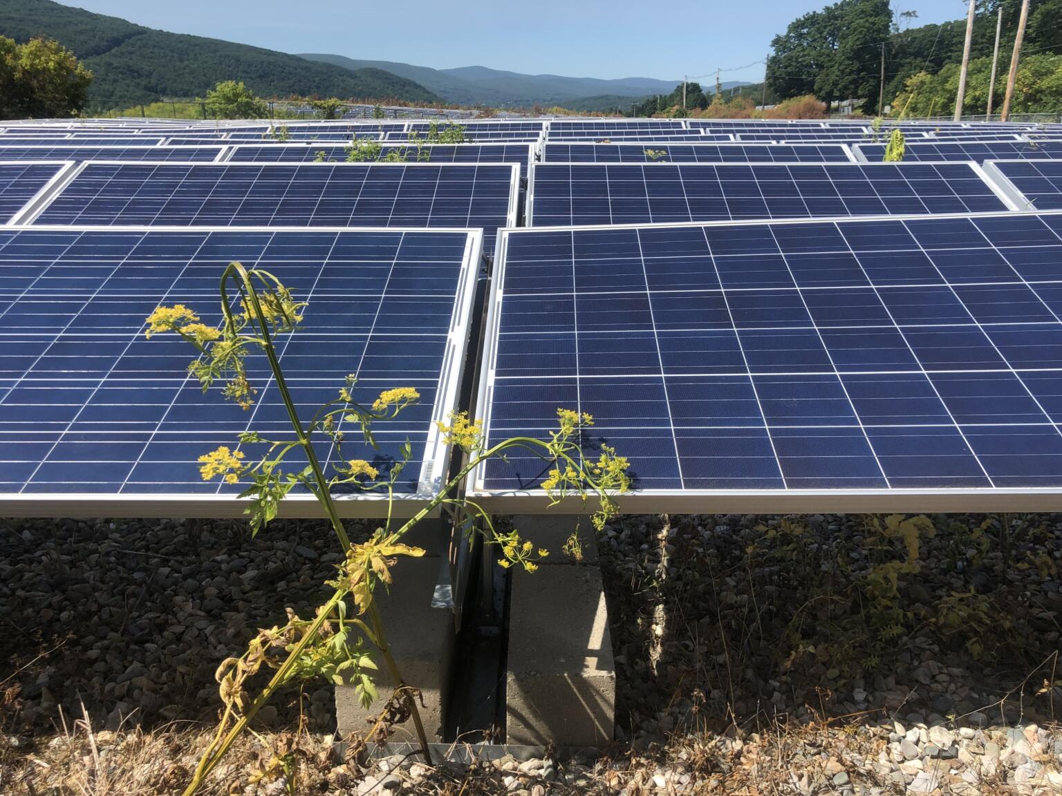 The Importance of Ground Clearance in Ground-Mount Solar Installations ...