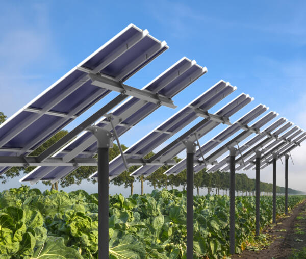 Mounts for Agrivoltaics - Racking Structures for Solar + Agriculture