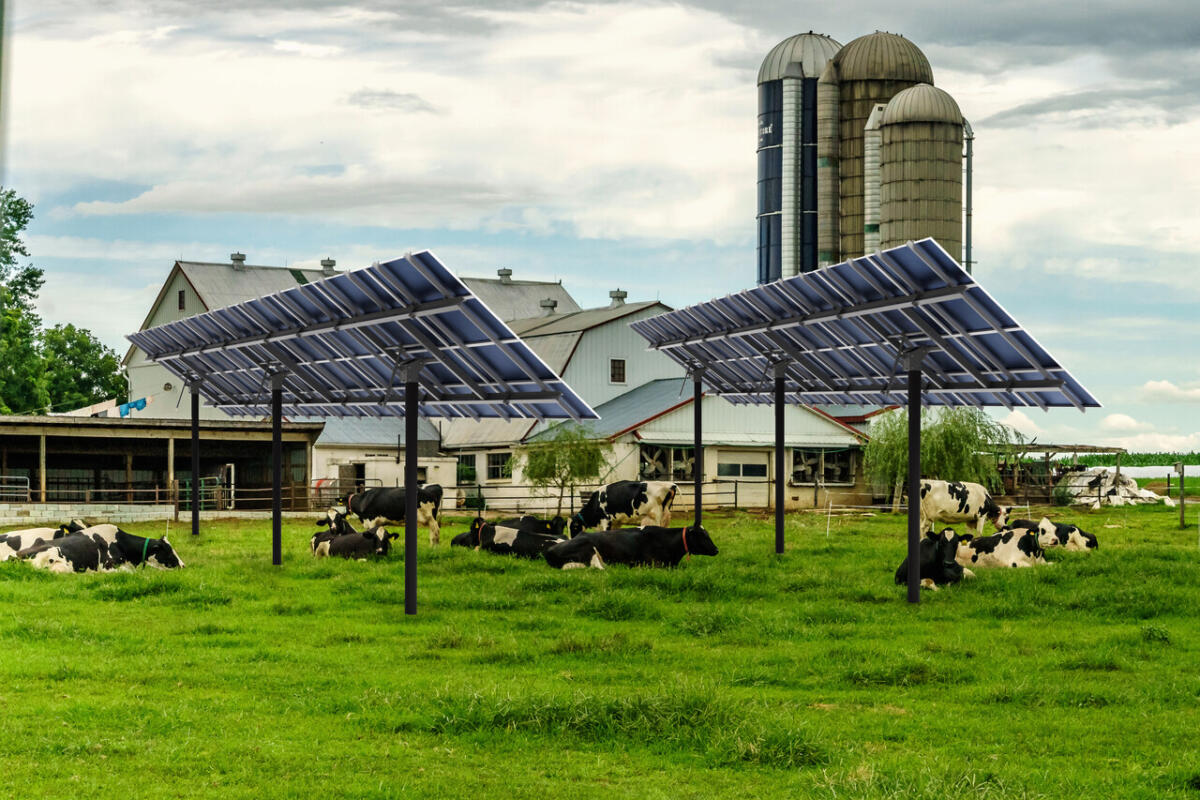 Mounts for Agrivoltaics - Racking Structures for Solar + Agriculture