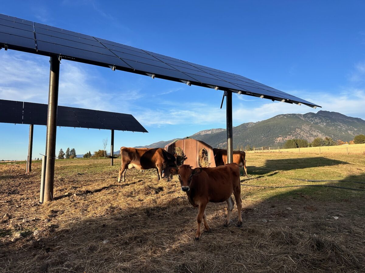Solar Mounts for Farms and Agriculture - MT Solar