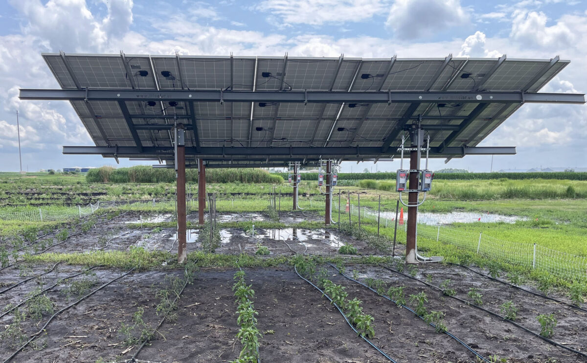 Solar Mounts for Farms and Agriculture - MT Solar